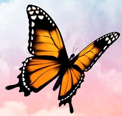 Why I Wrote this Journal – Chaplain Clyde
